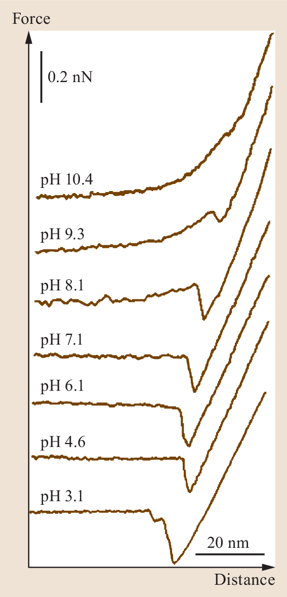 Atomic Force Microscopy in the Life Sciences | SpringerLink