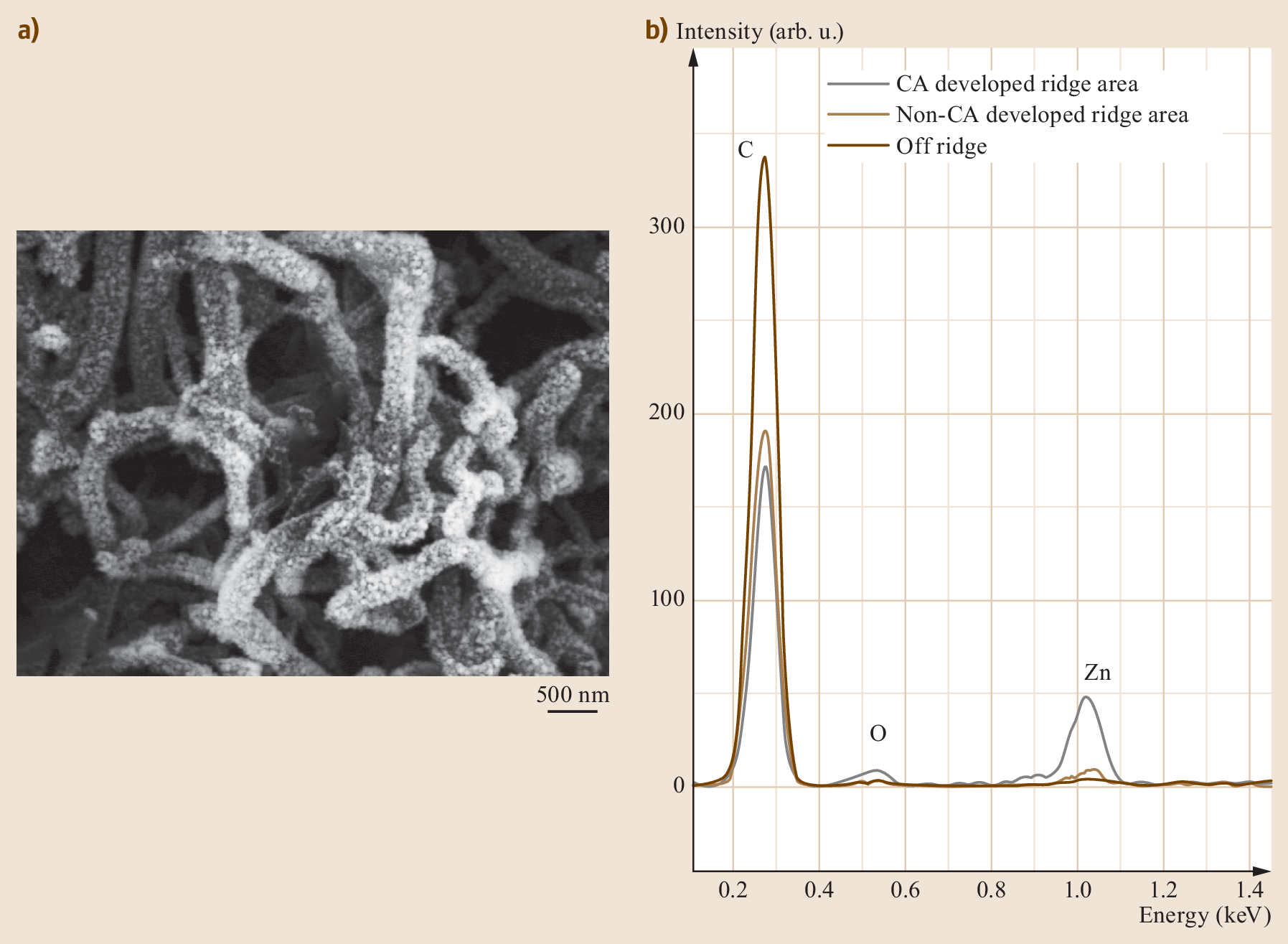 Microscopy in Forensic Sciences | SpringerLink