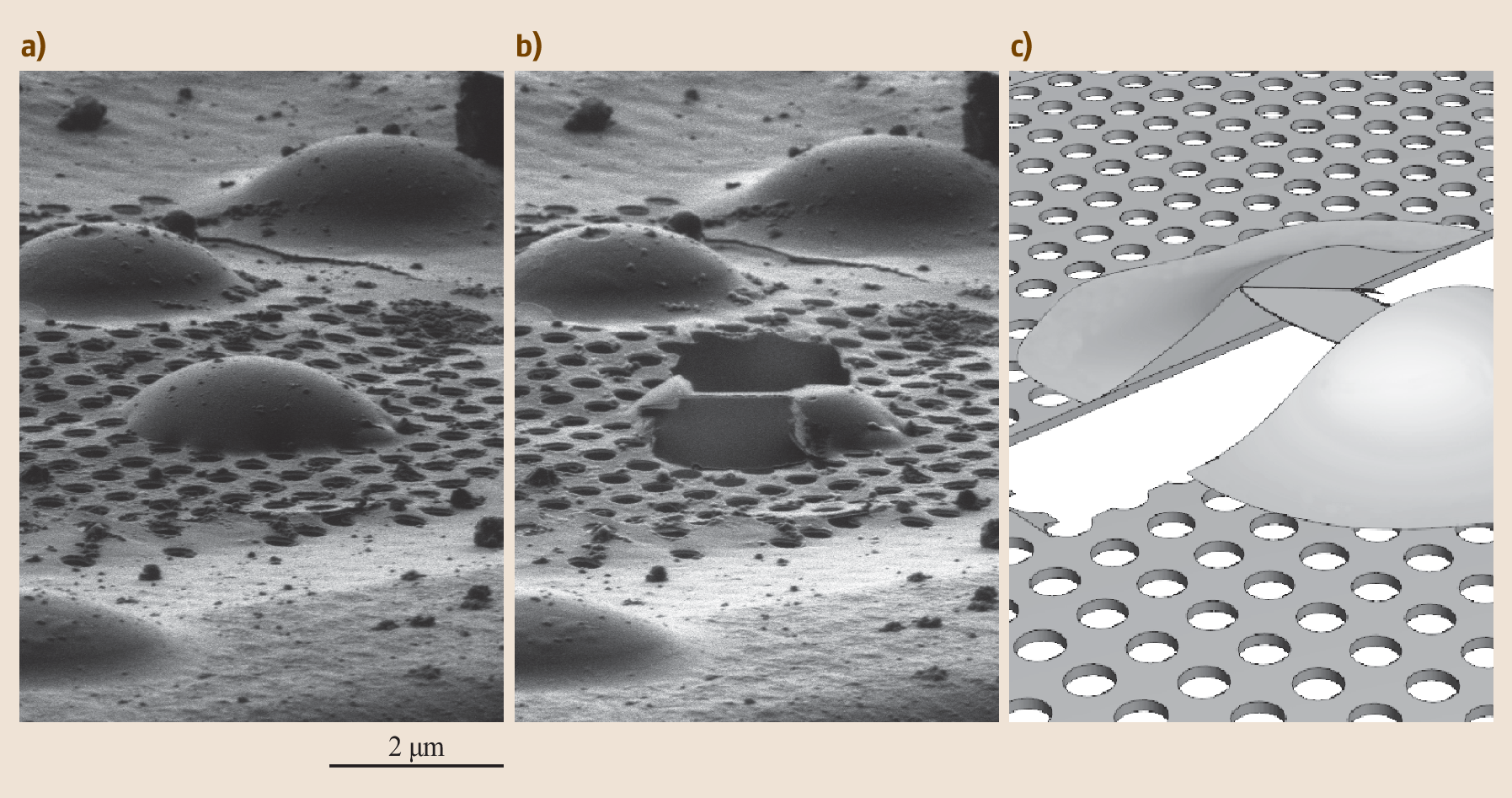 Cryo-Electron Tomography | SpringerLink