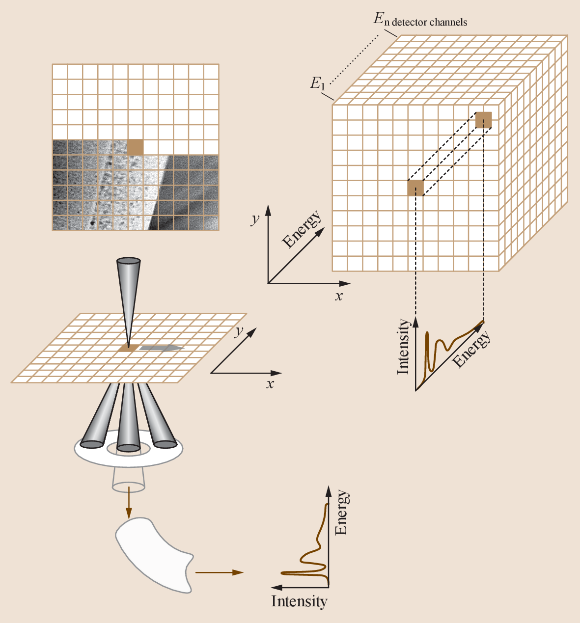 Analytical Electron Microscopy | SpringerLink