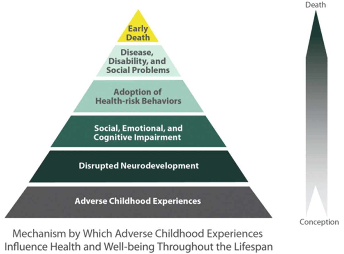 Introduction: Child Abuse and Neglect | SpringerLink