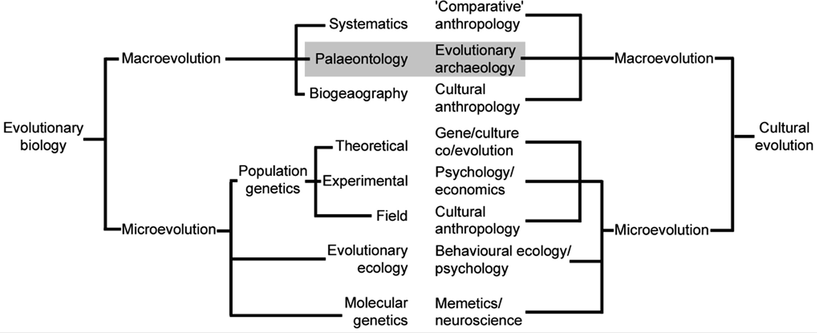 Introduction to Cultural Microevolutionary Research in Anthropology and ...