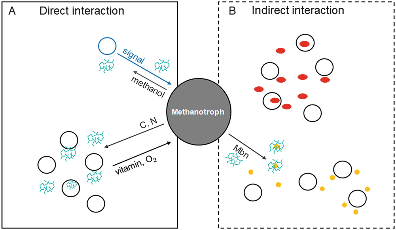 Environmental Applications of Methanotrophs | SpringerLink