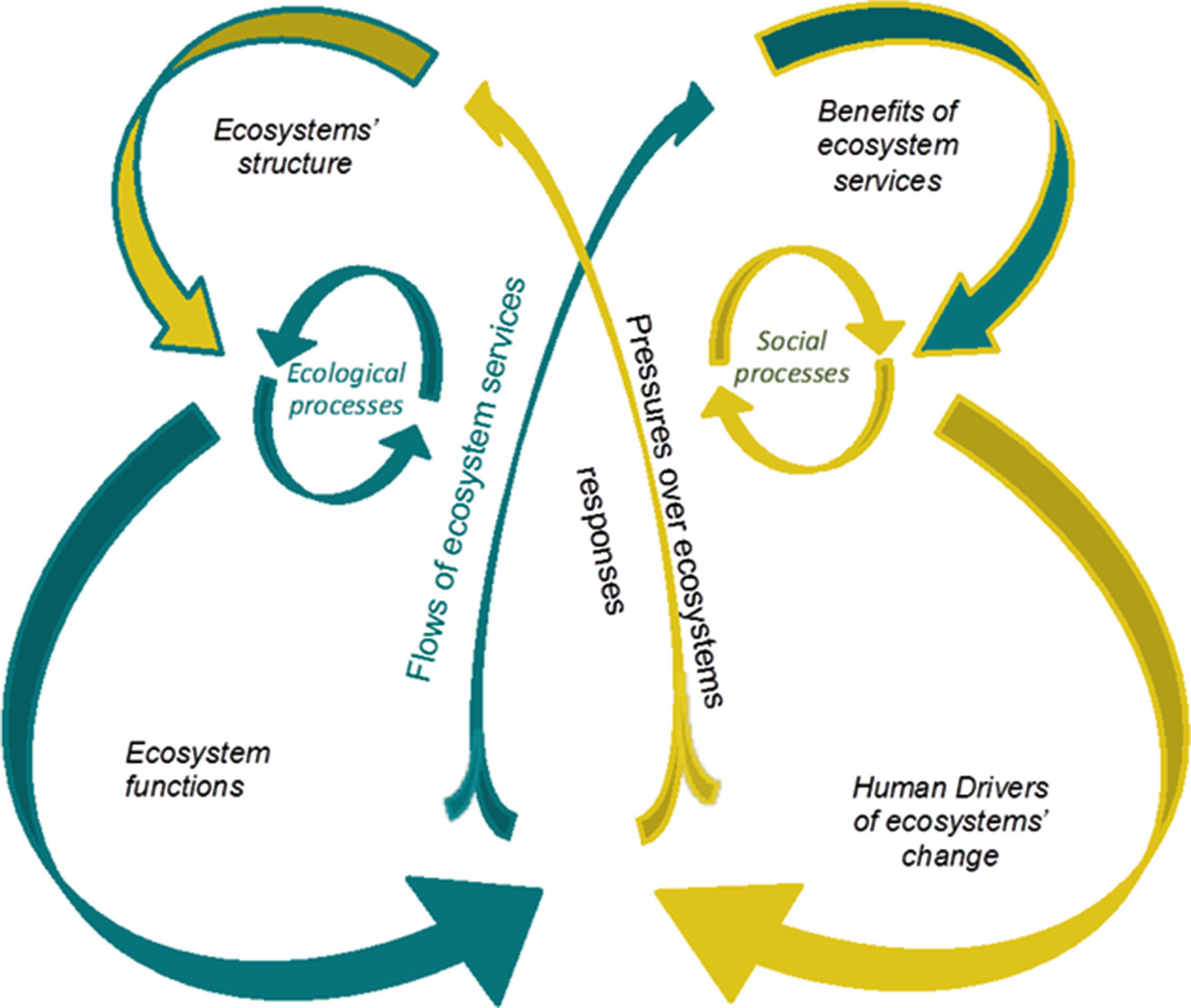 From DPSIR the DAPSI(W)R(M) Emerges… a Butterfly – ‘ protecting the ...