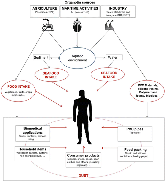 Organotin Compounds from Snails to Humans | SpringerLink