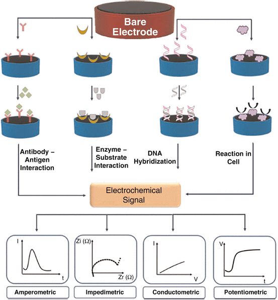 Porous Silicon Electrochemical Biosensors: Basic Principles and ...