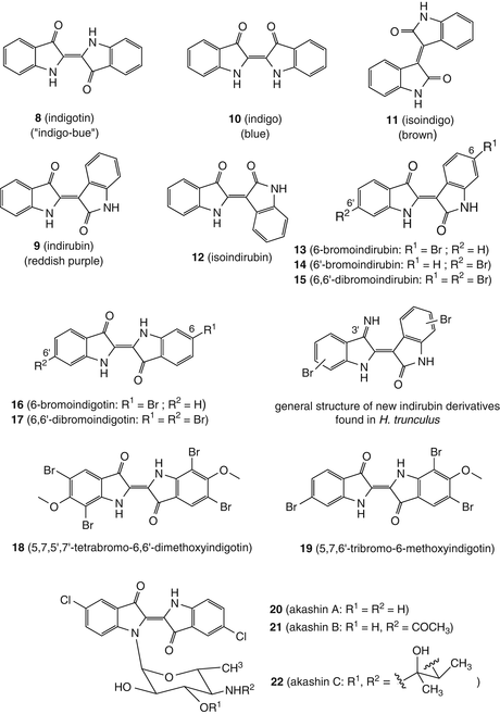 A Colorful History: The Evolution of Indigoids | SpringerLink