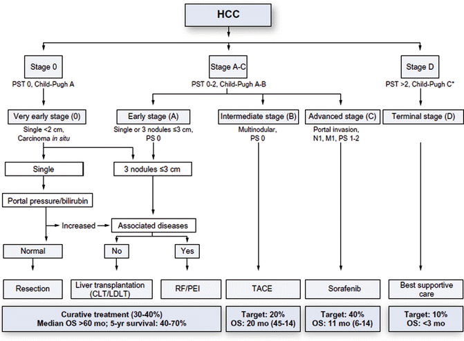 Milan Liver Criteria