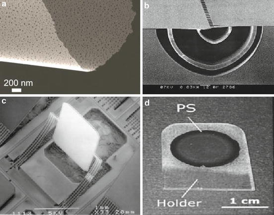 Porous Silicon Membranes | SpringerLink