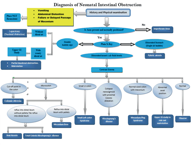 Neonatal Intestinal Obstruction | SpringerLink