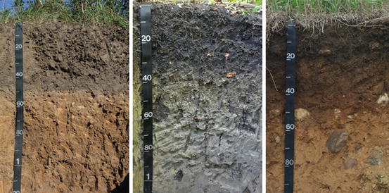 Mollic Epipedon | SpringerLink