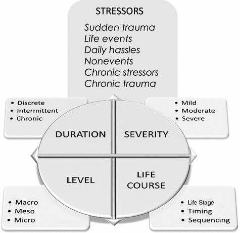 The Stress Process: Its Origins, Evolution, and Future | SpringerLink