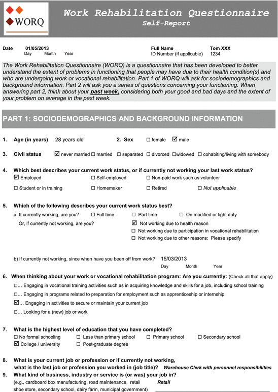 Applying the Work Rehabilitation Questionnaire WORQ: A Case ...