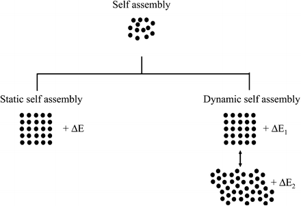 Self Assembly | SpringerLink