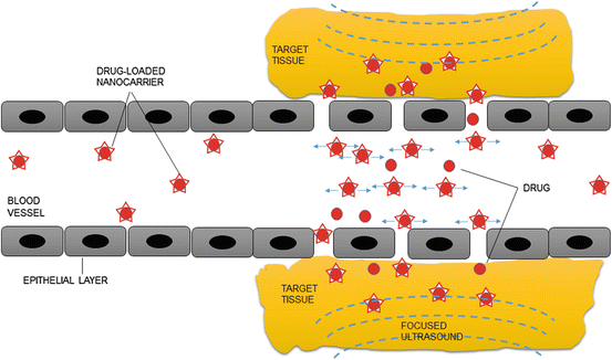 Targeted Drug Delivery Systems: Strategies and Challenges | SpringerLink