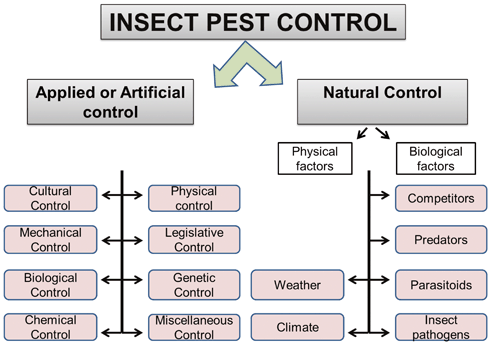 Insect Pest Management in Conservation Agriculture | SpringerLink