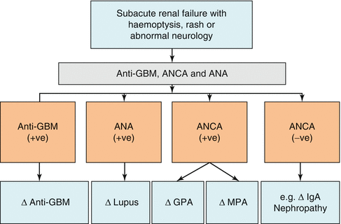 Rapidly Progressive Glomerulonephritis | SpringerLink