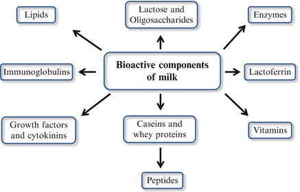 Biologically Active Compounds in Milk | SpringerLink