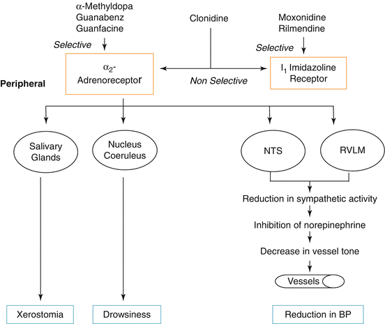Centrally Acting Antihypertensive Agents in the Treatment of ...