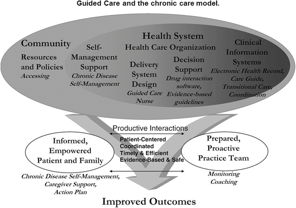 “Guided Care” for People with Complex Health Care Needs | SpringerLink