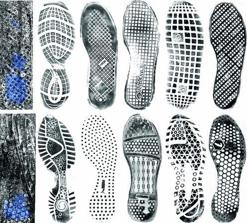 Unsupervised Footwear Impression Analysis and Retrieval from Crime ...