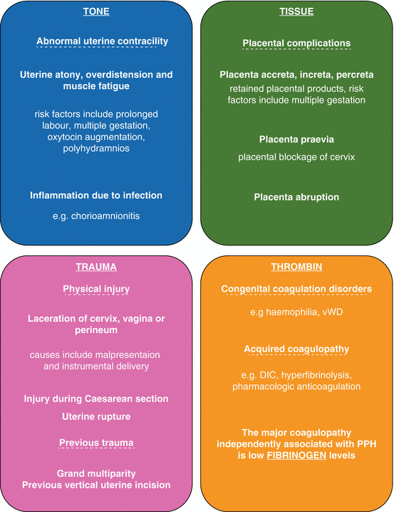 Postpartum Haemorrhage (PPH): Diagnosis, Prevention and Treatment ...