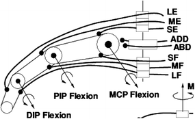 Finger Mechanisms for Robotic Hands | SpringerLink