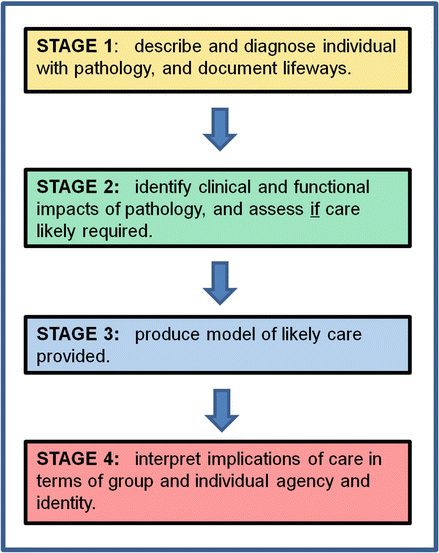 The Bioarchaeology of Care Methodology: Stages 1–3 | SpringerLink