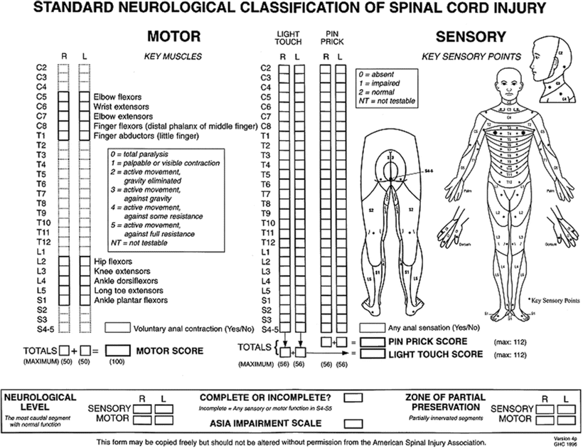 Spinal Cord Injuries | SpringerLink