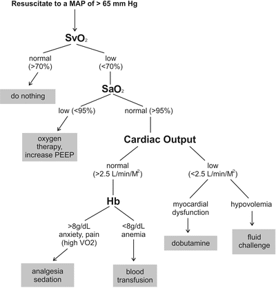 Hemodynamic Monitoring | SpringerLink