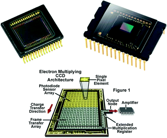 Metal Semiconductor Field Effect Transistors, MOS Transistors, and ...