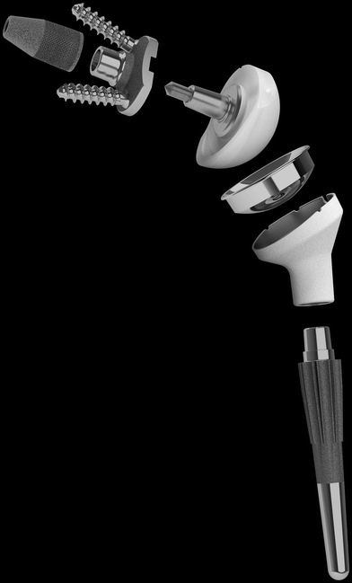 The SMR® Shoulder System of Lima Corporate | SpringerLink