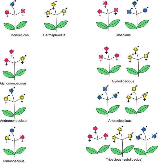 Evolution of Plants with Emphasis on Its Reproduction Form | SpringerLink