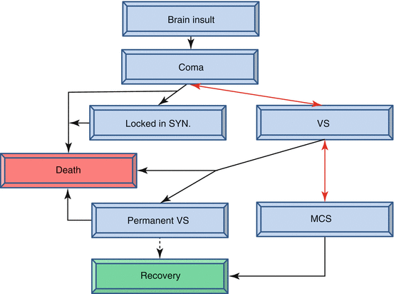 Vegetative State Two Decades After the Multi-Society Task Force (MSTF ...
