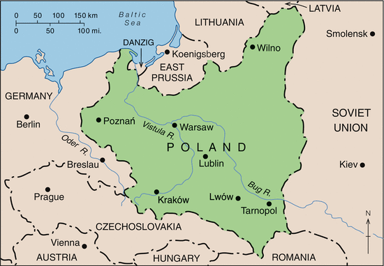 In the University Town Lwów | SpringerLink