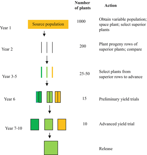 Conventional Plant Breeding Principles and Techniques | SpringerLink