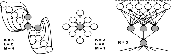 Evolutionary Graph Theory | SpringerLink