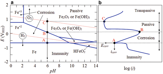 Kinetics of Activation Polarization | SpringerLink