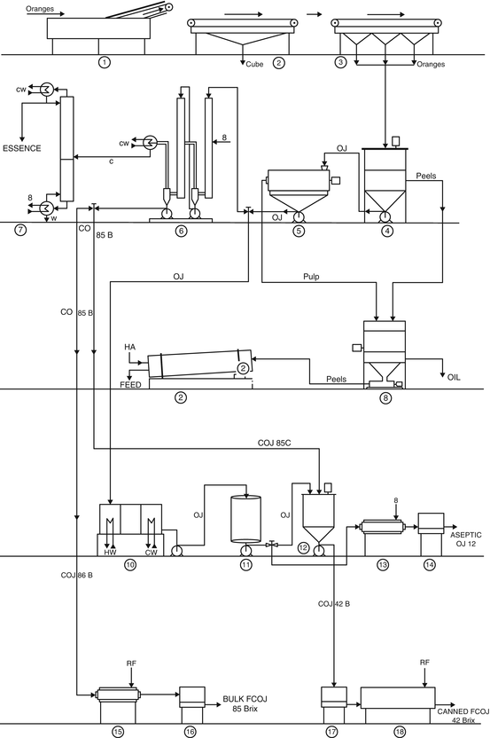 Design of Food Processes and Food Processing Plants | SpringerLink