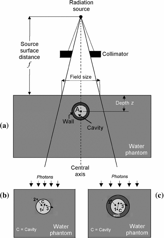 Absolute Radiation Dosimetry | SpringerLink