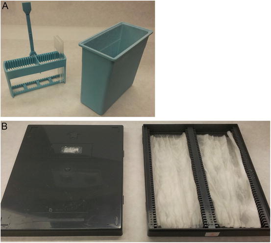 Staining Against Phospho-H2AX (γ-H2AX) as a Marker for DNA Damage and ...