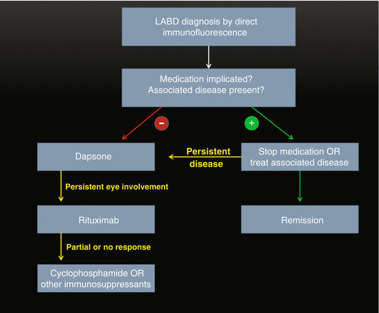 Linear IgA Bullous Dermatosis | SpringerLink