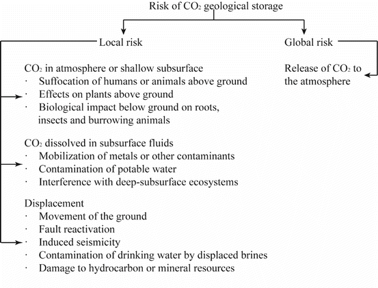 Risk Assessment of the Geological Storage of CO2: A Review | SpringerLink