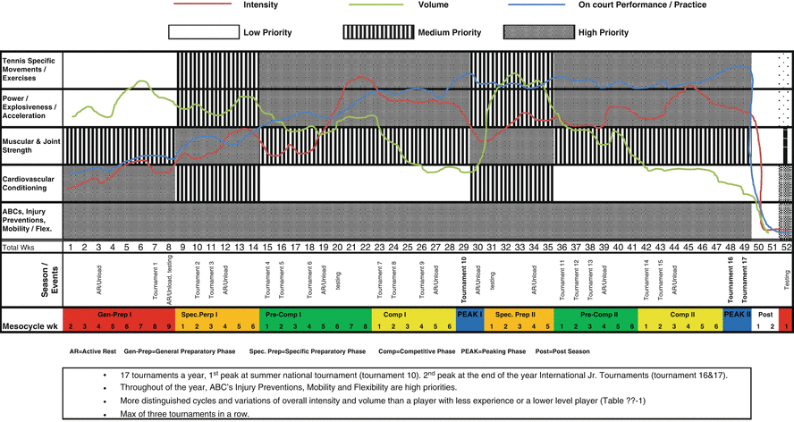 Periodization and Recovery in the Young Tennis Athlete | SpringerLink