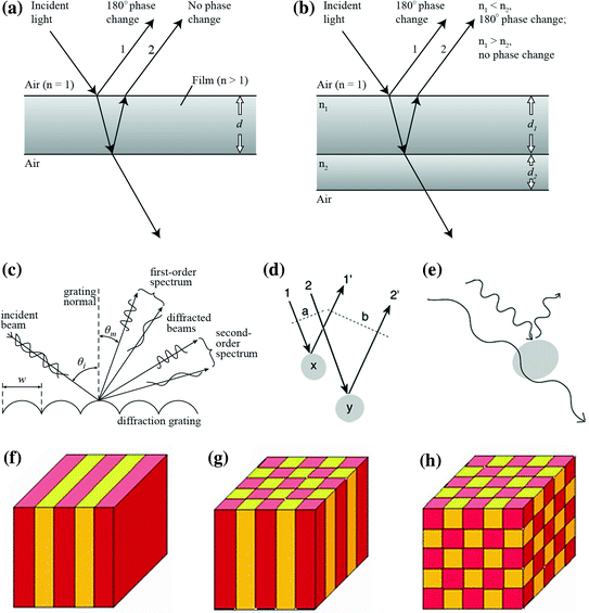 Structural Coloration | SpringerLink