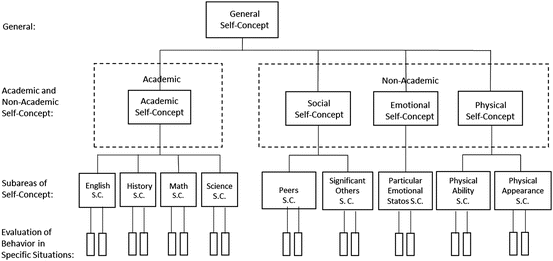 Self-Concept: Determinants and Consequences of Academic Self-Concept in ...