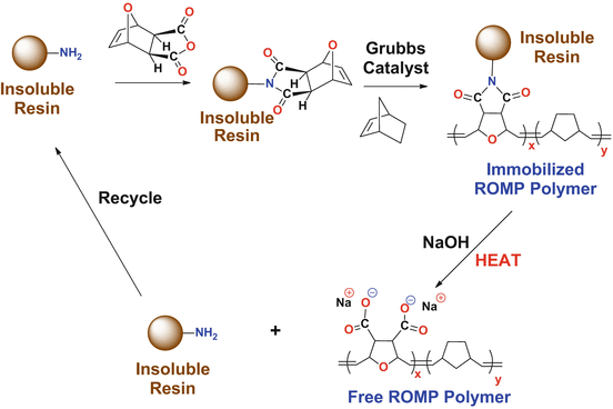 Ring-Opening Metathesis Polymerization (ROMP) Using Maleic Anhydride ...