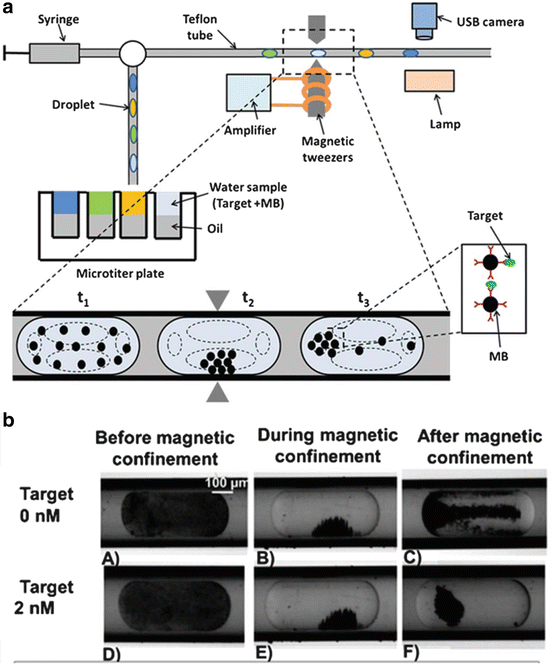 Microfluidics for DNA and Protein Analysis with Multiplex Microbead ...