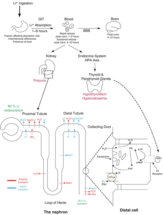 What Is Lithium and How Does It Work? | SpringerLink