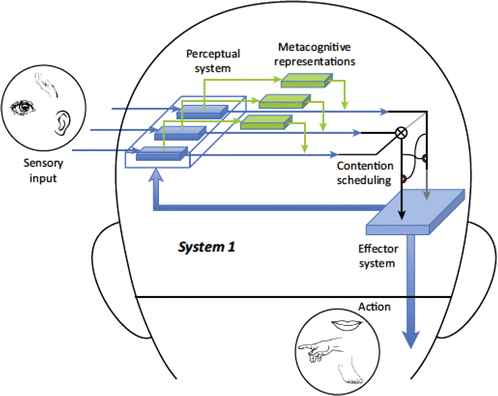 Temporal Lobe Syndromes | SpringerLink